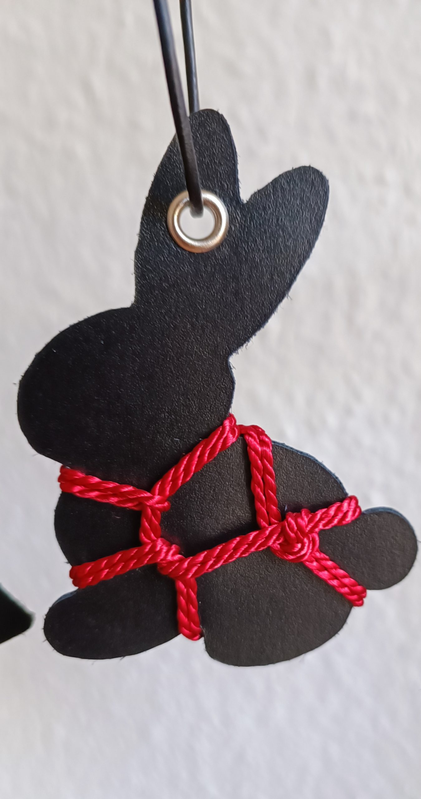 IMG_20221124_172859 – Rope-Bunny.de