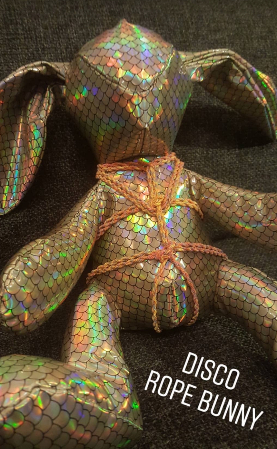 Screenshot_2023-02-12-09-07-30-694-edit_com.google.android.apps.photos ...